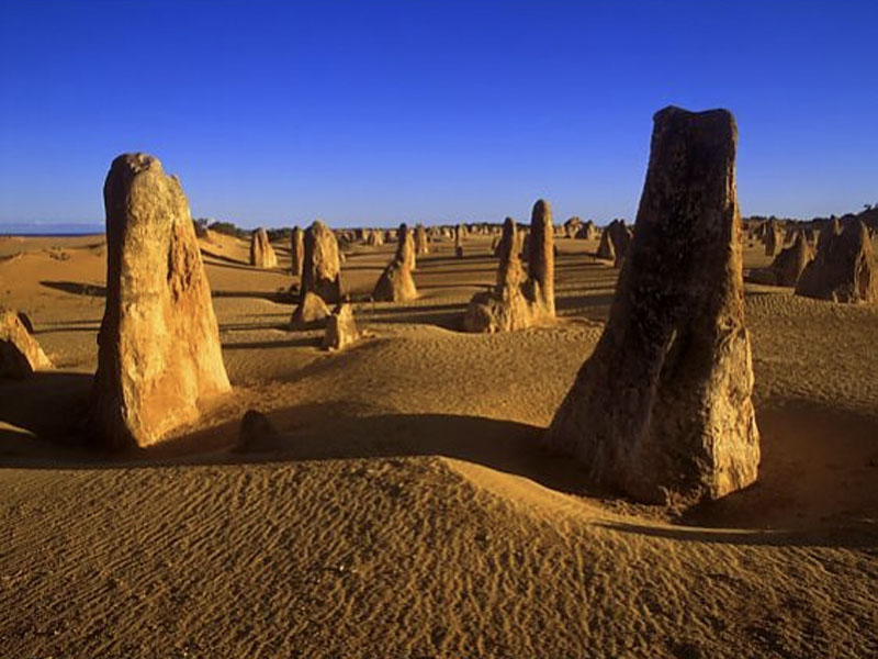 PINNACLES TOURS | Pinnacles & Yanchep National Park Tours WA